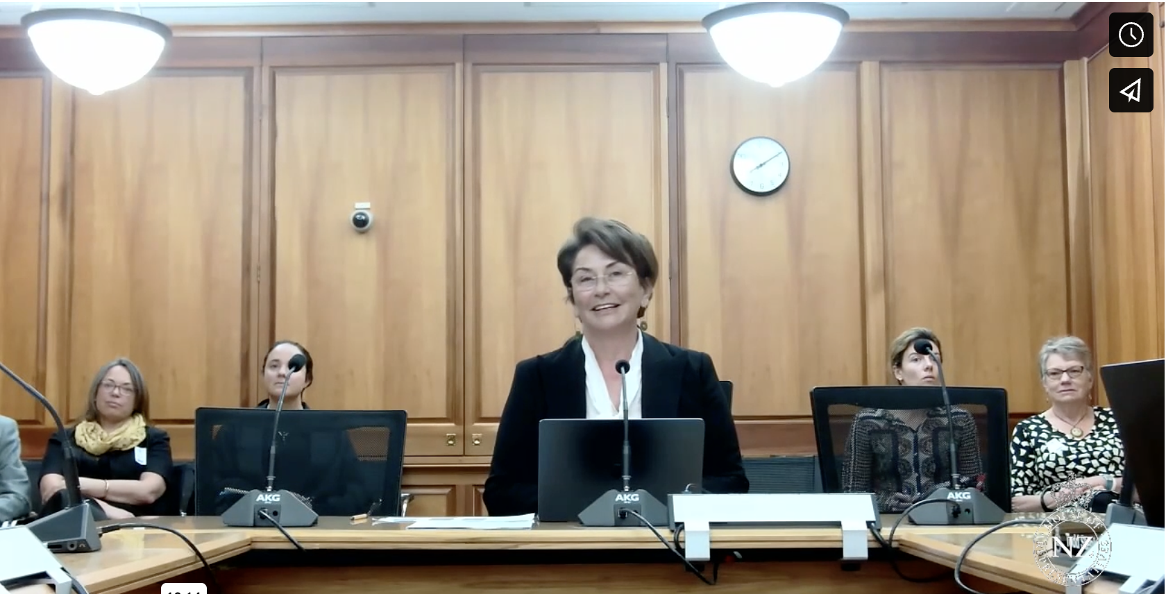 MATAKI 👀 | Hon Hekia Parata Treaty Principles Bill Oral Submission - Te ...